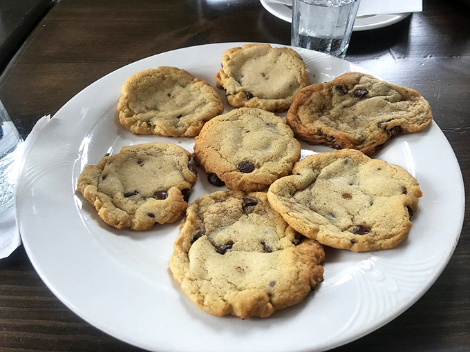 Cookie perfection or edible art? These chocolate chip beauties look like they could star in their own baking show. Resistance is futile!