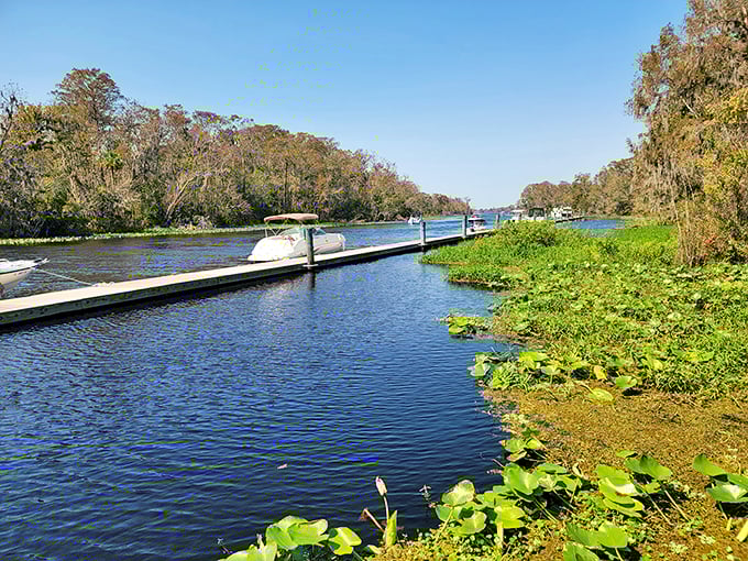 Nature's dining room: Where the creek is your backdrop and the gentle lapping of water is your dinner music. Photo credit: Kelly Morris