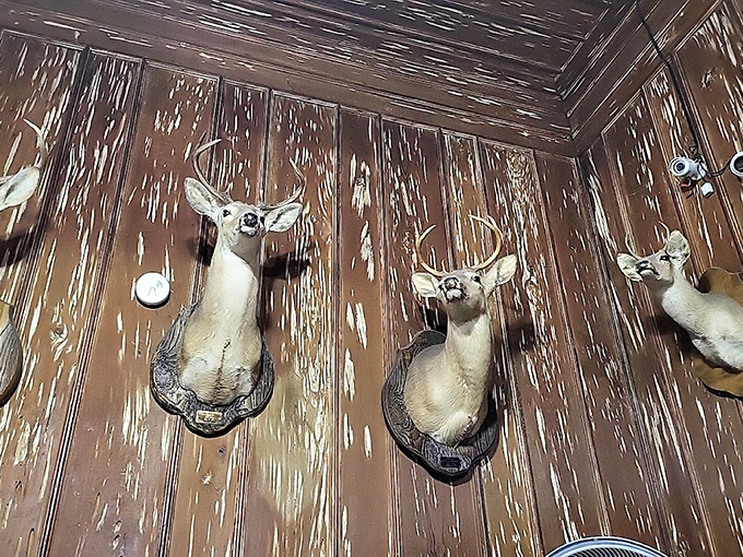 Heads up, deer friends! These mounted trophies aren't just decor &ndash; they're the welcoming committee for your carnivorous cravings.