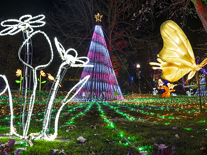 Who says flowers don't bloom in winter? These luminous blossoms and critters prove Mother Nature's got nothing on Edison's bright ideas.