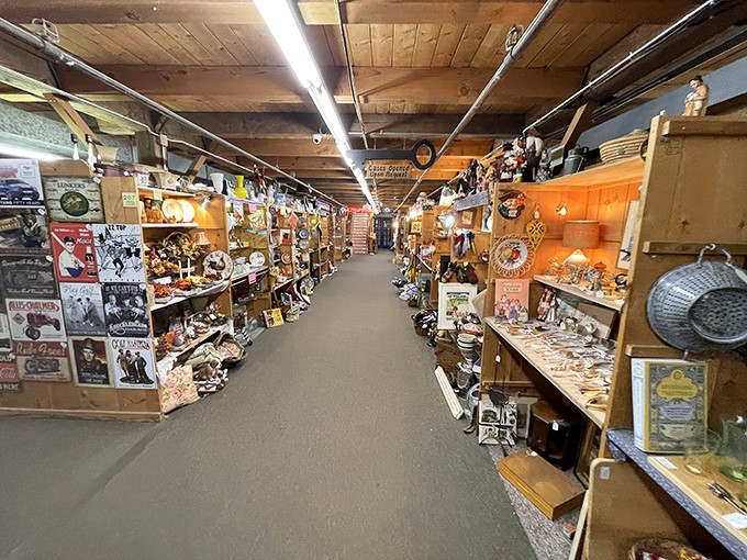 Imagine if Indiana Jones traded his whip for a price gun. That's the adventure awaiting in these aisles of antiquarian wonders.