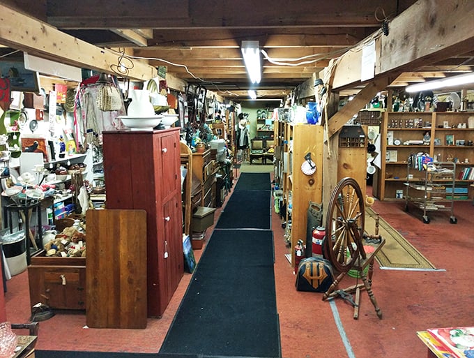 Indiana Jones, eat your heart out! This aisle of antiquities is where adventure meets nostalgia in a dance of discovery.