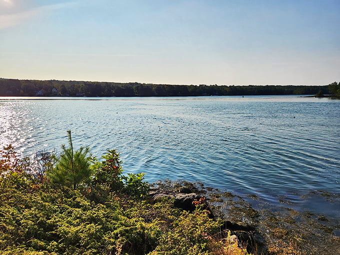 Serenity now! The Sheepscot River sparkles like nature's own mood ring, reflecting the calm you'll feel here.