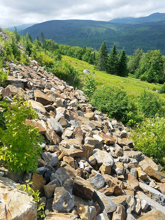 Mother Nature's rock collection: Proof that she's been hoarding longer than your Uncle Bob with his garage full of "antiques."