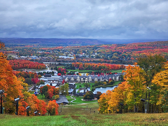 Boyne Valley unfurls like a patchwork quilt of autumn hues. From up here, even Bob Ross would be at a loss for words.