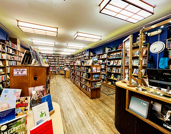 Vintage volumes and leather-bound tomes line the upper shelves, whispering tales of bygone eras. It's like time travel, minus the DeLorean!