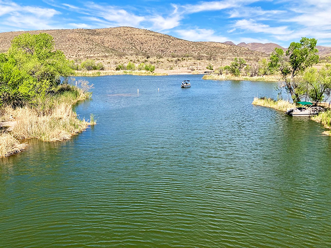 Patagonia Lake's shoreline curves like a painter's brushstroke, with mountains providing the perfect desert backdrop.