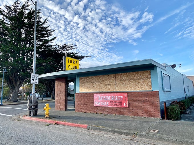 Forget horse racing&mdash;The Turf Club's real sport is collecting cool cats and serving them a smorgasbord of sound.