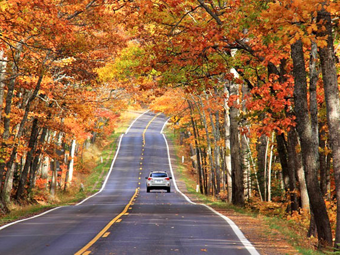 Talk about a golden opportunity! This autumn spectacle is like King Midas went on a tree-touching spree. Photo credit: SuperiorTrails