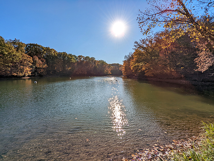 Dive into summer! Alum Creek's expansive beach is like an inland ocean, minus the sharks and salty aftertaste.