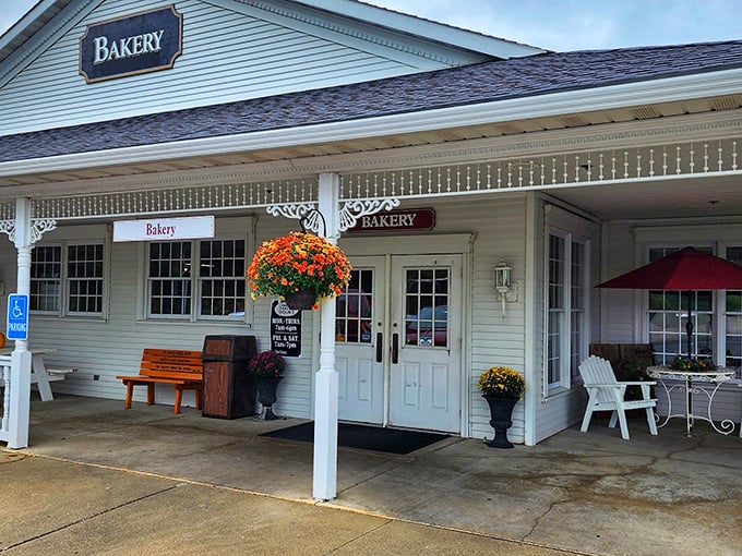 Time travel never tasted so sweet! Step into a world where butter rules and every pastry tells a story.