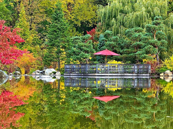 "Zen and the art of garden maintenance. Anderson's Japanese oasis proves you don't need a passport for a moment of tranquility."