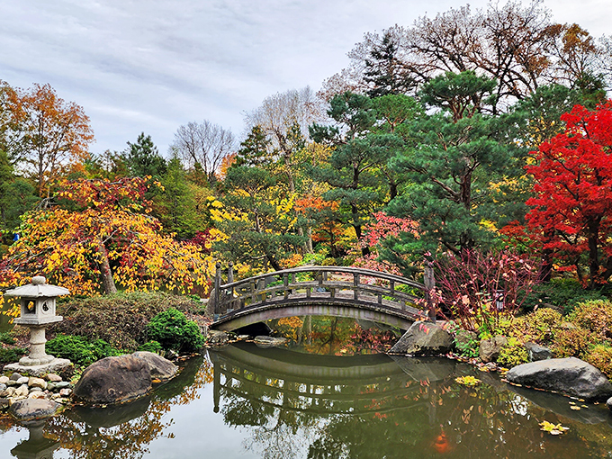 Autumn in Japan&hellip; or Rockford? Anderson Gardens' bridge scene could make Monet trade water lilies for maple leaves.