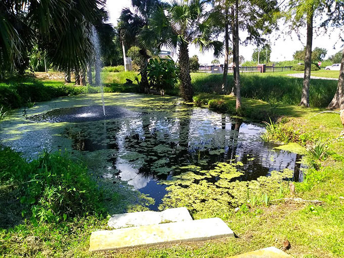 Sunlight dances through palm fronds, creating a peaceful oasis where water and wilderness meet in perfect harmony.