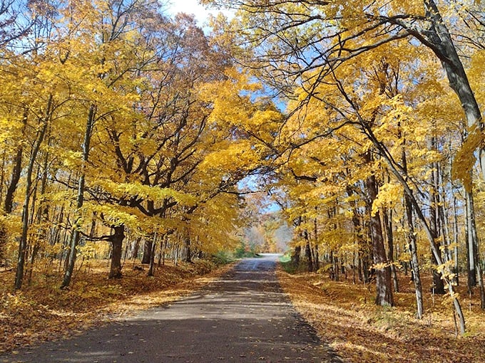 Autumn's paintbrush at work! Blue Mound's kaleidoscope of colors is Mother Nature's masterpiece, no filter needed.