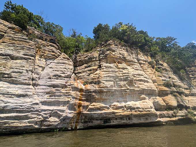 Where the buffalo roam and the deer and the antelope play... or at least where you can pretend they do. 