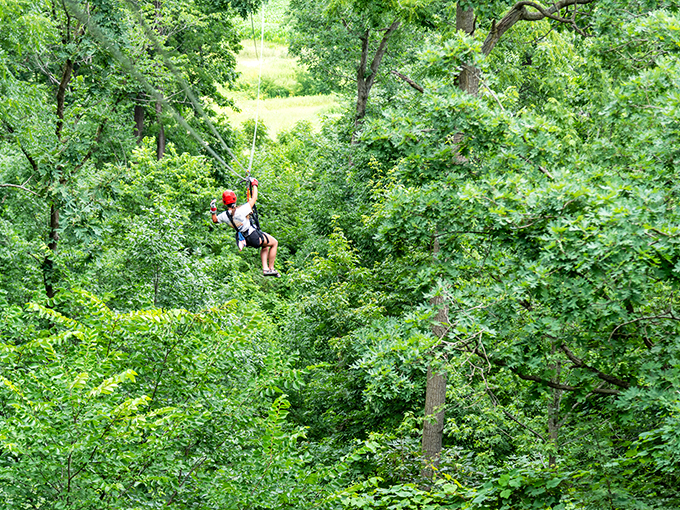 Leaf peeping gets an adrenaline upgrade! Zip through autumn colors so vibrant, you'll think Mother Nature's been taking art classes.