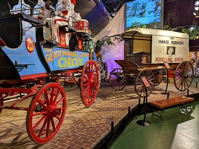 Roll up, roll up! Where the greatest show on earth never ends. Prepare to be amazed by bygone big tops.