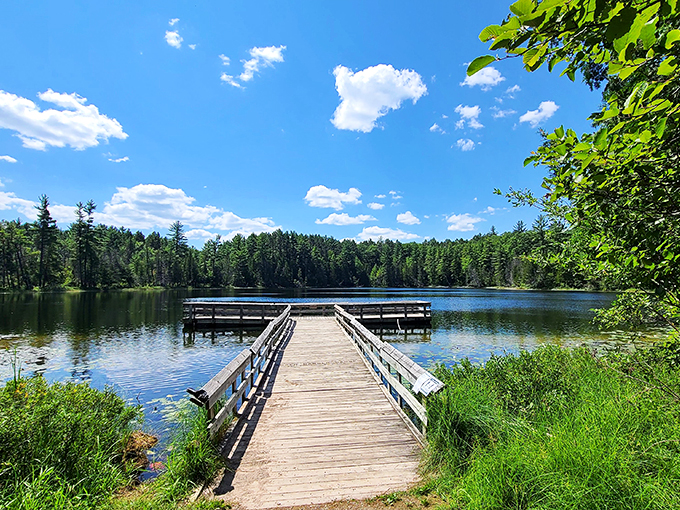 Towering titans! Hartwick Pines' old-growth forest makes you feel like you've stumbled into a Tolkien novel.