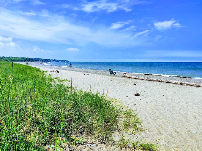 Surf's up, Ohio style! Lake Erie's waves are nature's own theme park ride. No ticket required, just bring your sense of adventure!