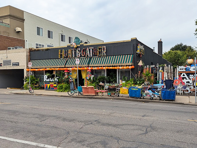 Welcome to the Island of Misfit Toys for grown-ups! Hunt & Gather is where kitsch meets cool in a riot of color.