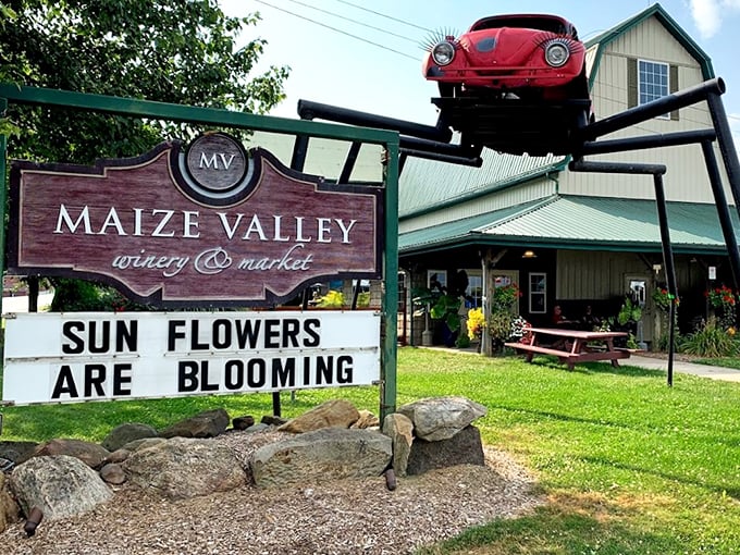 Wine with a view! Sip, savor, and snap selfies with sunflowers. It's like Napa Valley and Kansas had a beautiful baby.