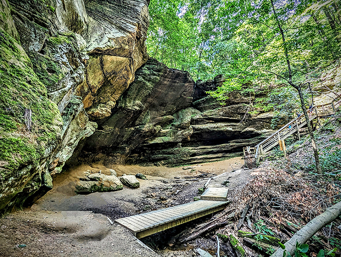 Trees reaching for the sky like overeager students. Nature's classroom, where every view is a lesson in beauty.