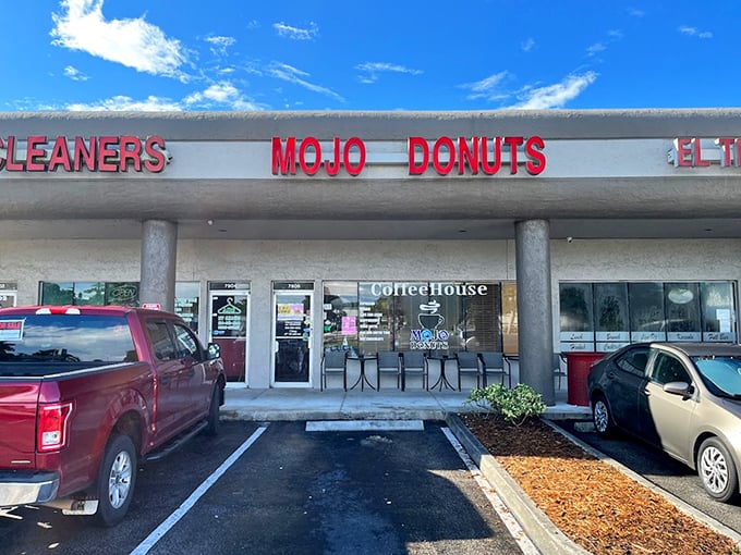 Mojo Donuts: The Clark Kent of bakeries. Unassuming exterior, superhero-level treats inside. These donuts are kryptonite to any diet plan!