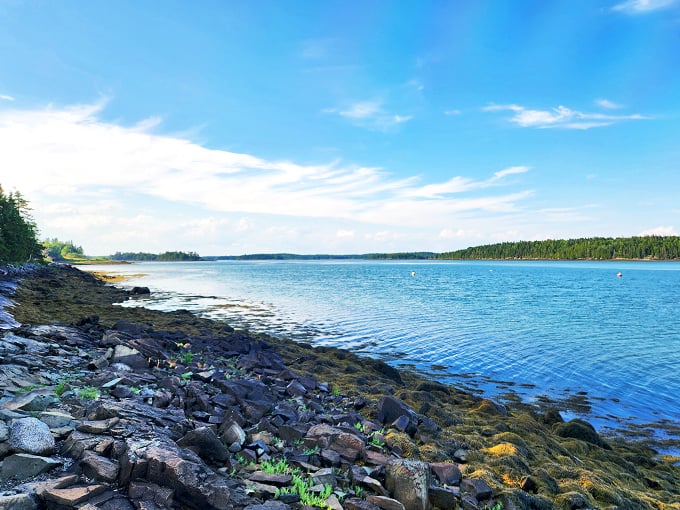 Moosehorn's serene reflection: Where the trees come to admire themselves. It's nature's version of a selfie, no filter needed!