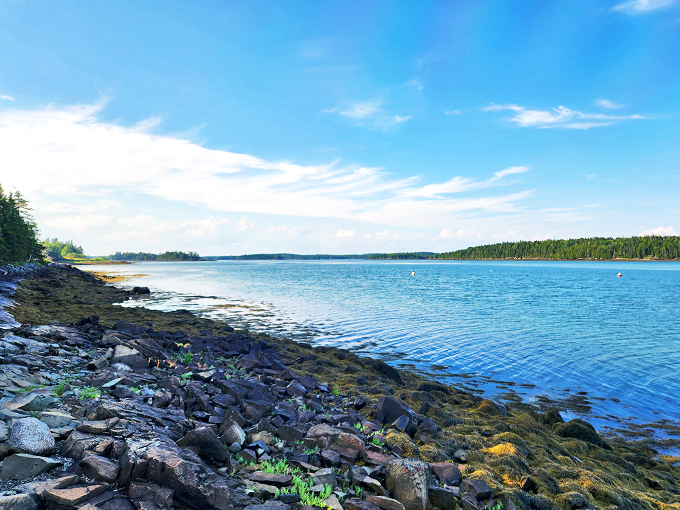 Moosehorn's serene reflection: Where the trees come to admire themselves. It's nature's version of a selfie, no filter needed!