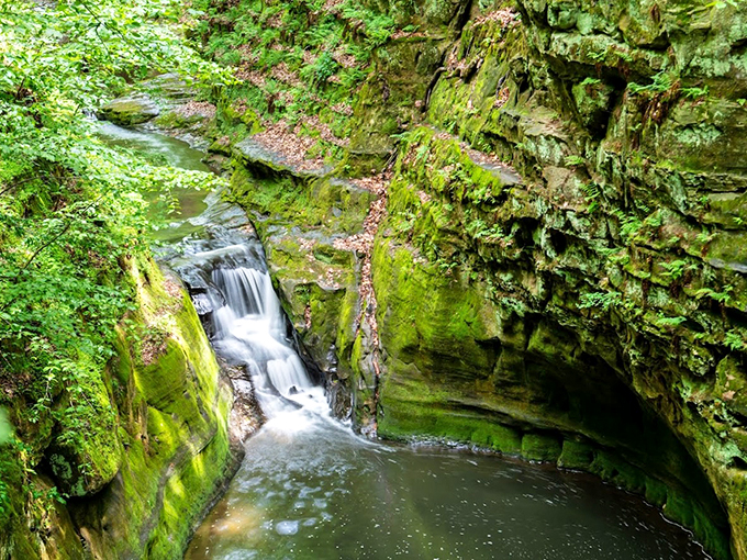 Mother Nature's secret swimming pool, carved by time and water into a gorgeous gorge near Baraboo.