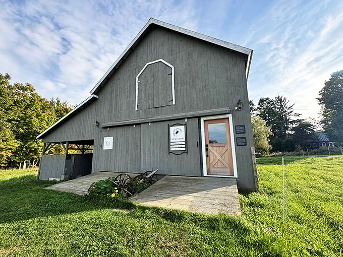 At Sage Farm, goats are the real G.O.A.T.s. Get ready for some serious kid-ding around!