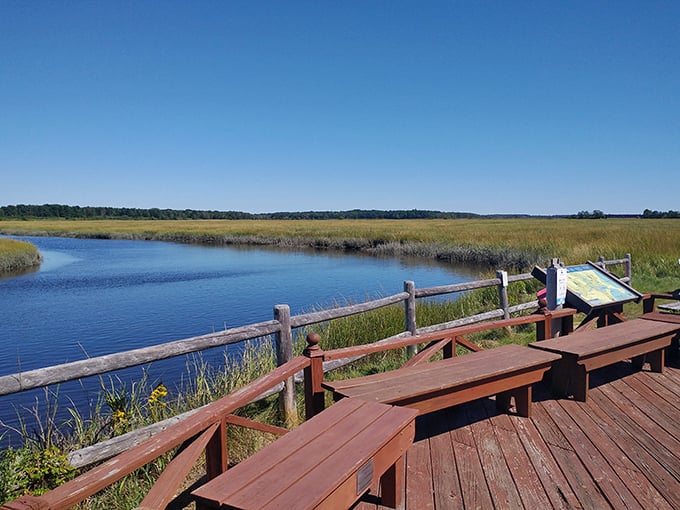 Scarborough Marsh: Where birds outnumber people, and the only traffic jams involve ducks. Paddle your way into a feathered paradise!