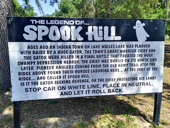 Gravity's day off! Watch your car defy physics and your mind bend in equal measure.