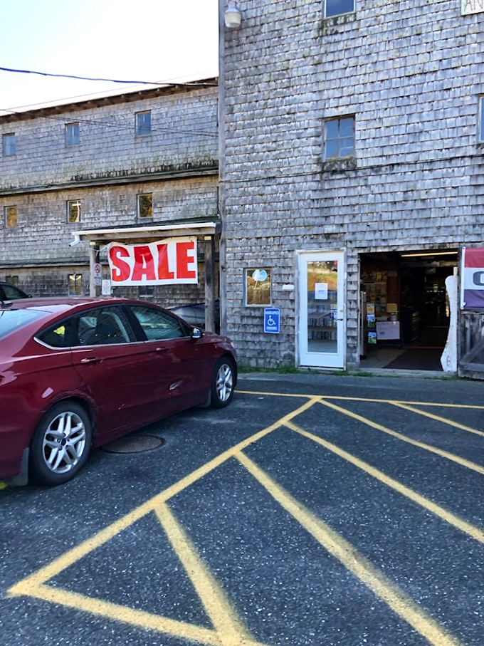 Who knew chickens had such great taste in literature? This barn's gone from egg-laying to page-turning!