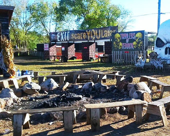 Exit stage fright! These pumpkin-headed performers are ready for their terrifying close-up. It's like "Children of the Corn" meets "America's Got Talent."