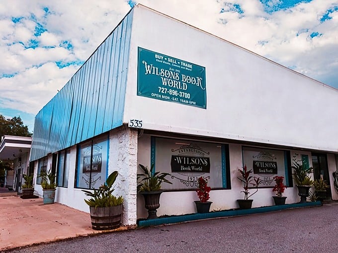 Wilson&rsquo;s Book World: St. Petersburg&rsquo;s retro reading retreat! This charming storefront looks like it stepped right out of a Wes Anderson film.