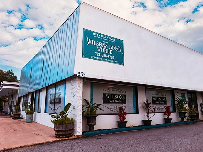 Wilson's Book World: St. Petersburg's retro reading retreat! This charming storefront looks like it stepped right out of a Wes Anderson film.