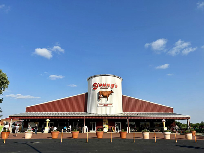 Holy cow! From udder to cone, Young's serves up farm-fresh scoops that will make you moo with delight.