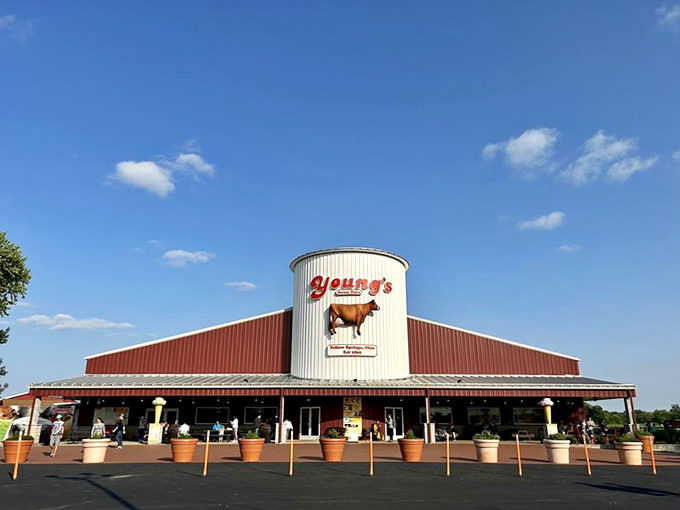 Holy cow! From udder to cone, Young's serves up farm-fresh scoops that will make you moo with delight.