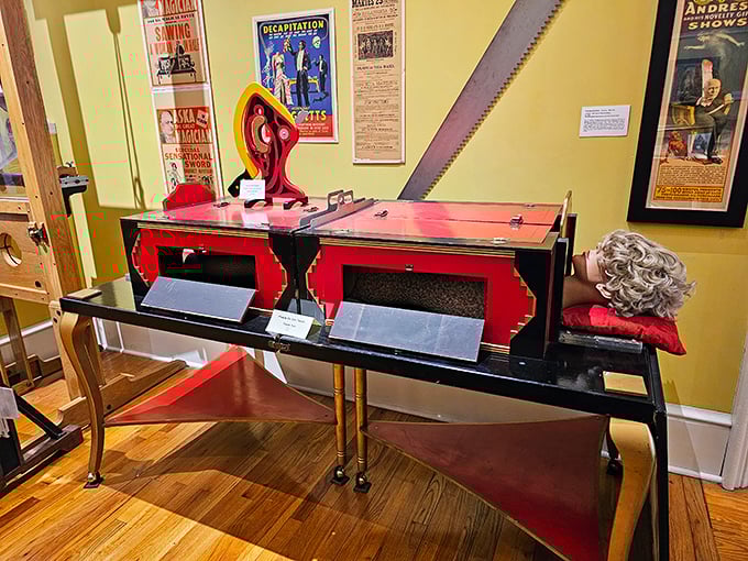 "Now you see it, now you don't! This sawing-in-half illusion might make you think twice about volunteering as an assistant." Photo credit: Rose B.