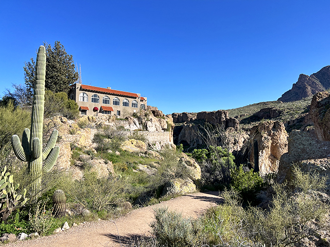 A globetrotter's dream garden! From Aussie outback to Sonoran splendor, it's a world tour without the jet lag.