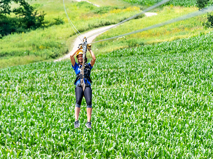 Who needs hiking when you can fly? Glide through Tapley Woods like a bird with a season pass to nature's rollercoaster.