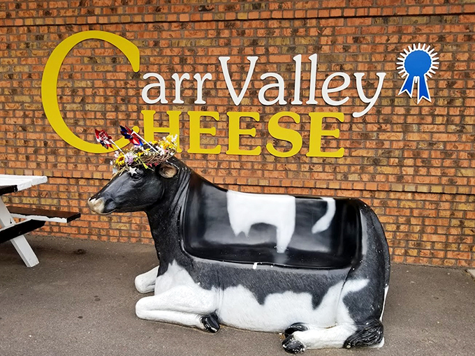 Where cheese dreams are made! This quaint shop holds flavor treasures that will make your taste buds dance a happy jig.