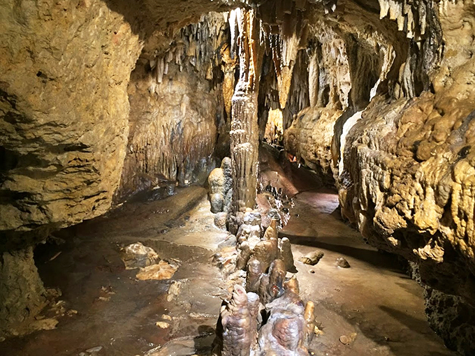 Stalagmites and stalactites, oh my! It's like Mother Nature's own Sistine Chapel, but with more calcium deposits.