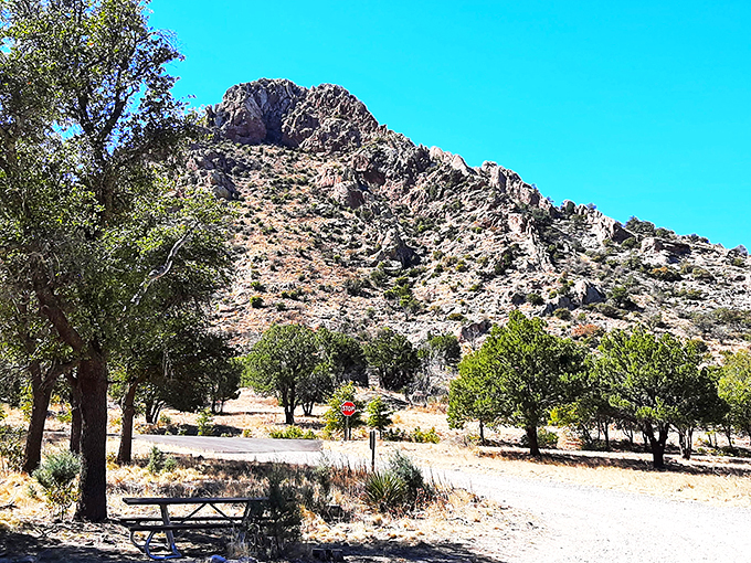 Welcome to the Wonderland of Rocks! It's like walking through a Dr. Seuss book, minus the rhymes.