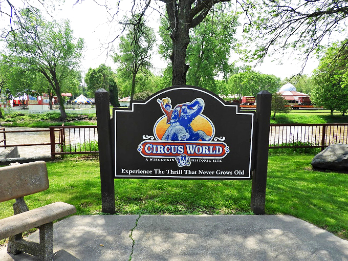 Ringmasters and acrobats and clowns, oh my! A three-ring extravaganza of nostalgia that'll make you want to run away and join the circus.