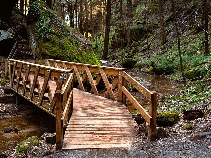 Nature's cathedral: Conkles Hollow's moss-covered walls reach skyward, creating a sanctuary of green. Prepare for some serious neck-craning.