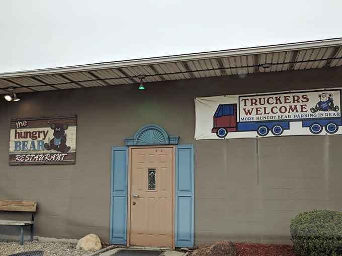 No need to hibernate here! Hungry Bear's cozy atmosphere and hearty portions will have you feeling like Goldilocks &ndash; everything's just right.