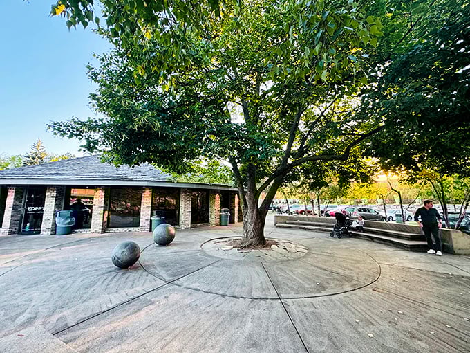 Where the neon glows and the custard flows. It's like a lighthouse for dessert lovers!